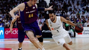 Qué son esos mosquitos gigantes que invadieron la C... | Página12