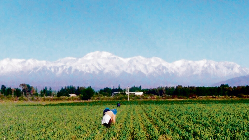 Aportes a la extensión rural | EL DESARROLLO Y LA S... | Página12