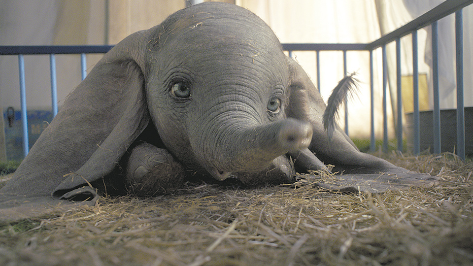 De aquel Dumbo sólo quedan las grandes orejas | La nueva versión ...