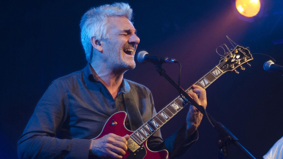 Siempre persiguiendo la luz del sol | Rubén Goldín presenta Girasoles ...