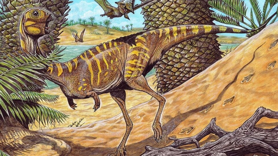 Nueva especie de dinosaurios: Descubrieron a un "pariente" del ...
