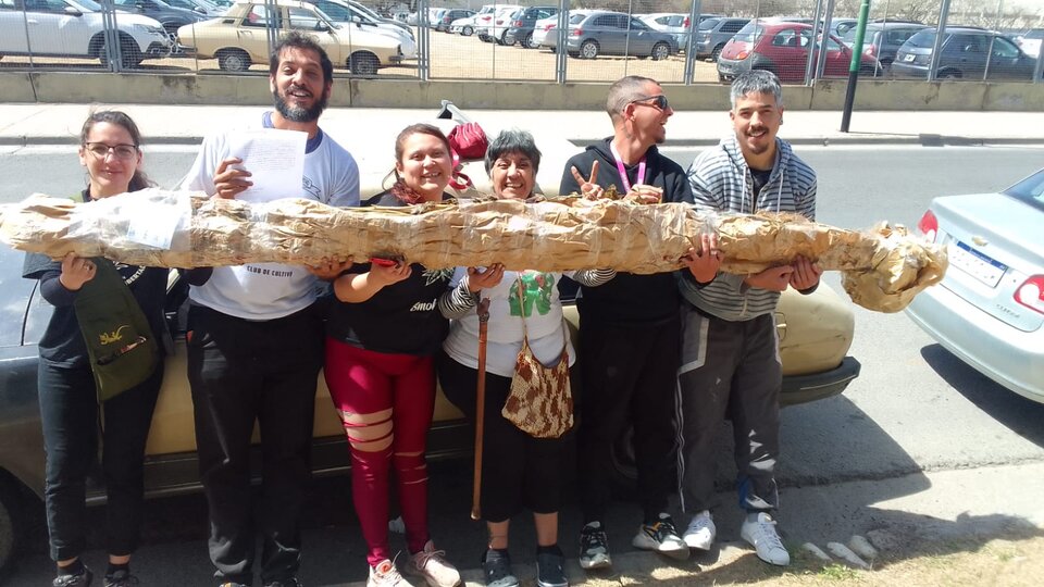 La Justicia restituyó plantas de cannabis a un cultivador | El vegetal ...