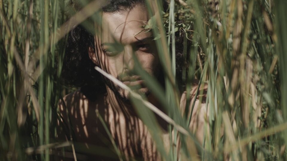 Una Ventana A Otras Historias Cine Festival Audiovisual De Bariloche