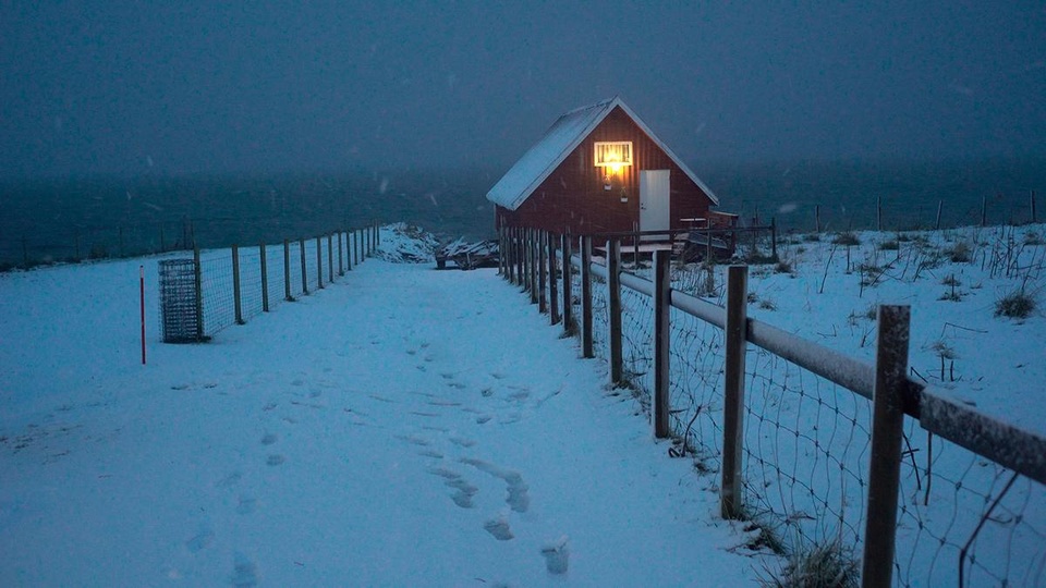 "Errante. La conquista del hogar": la mirada que se volvió territorio | Película de la fotógrafa ...