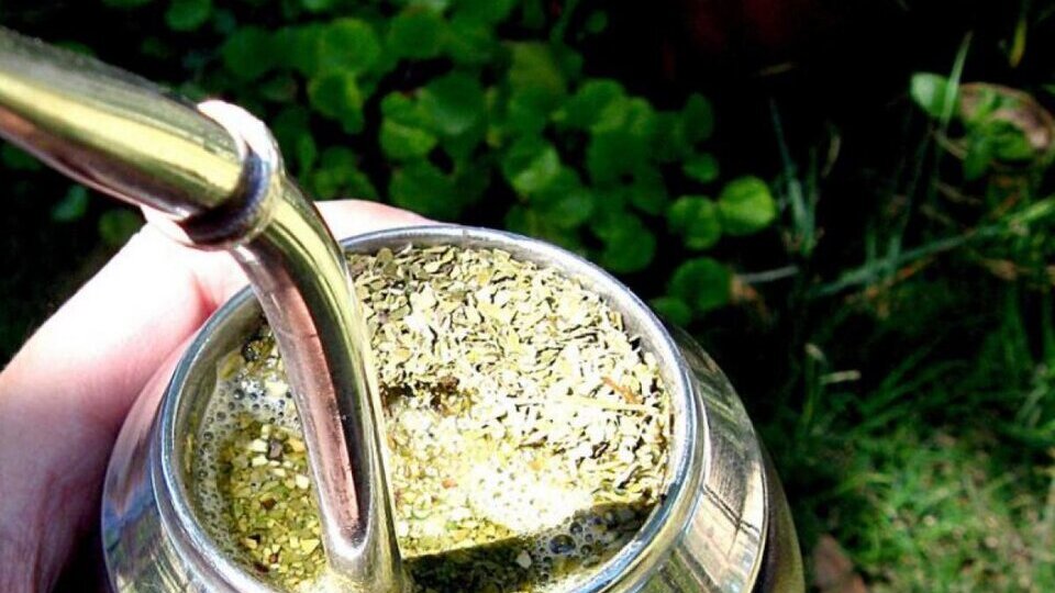 Día Nacional del Mate: sus aportes nutricionales y 5 tips para preparar ...