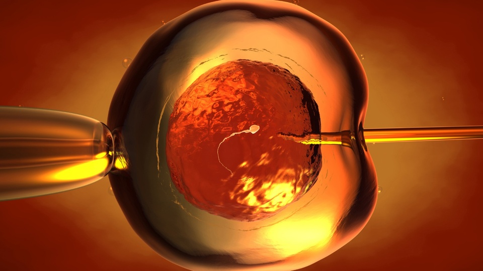 Unique Case In Argentina Due To A Medical Error The Wrong Embryo Was