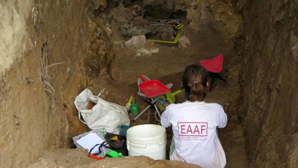 Diputados distinguirá al EAAF | Página|12