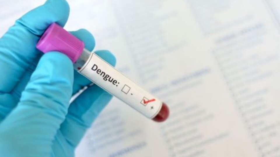 Detectaron el primer caso de dengue autóctono en San Luis | Es una ... Detectaron el primer caso de dengue autóctono en San Luis | Es una ...