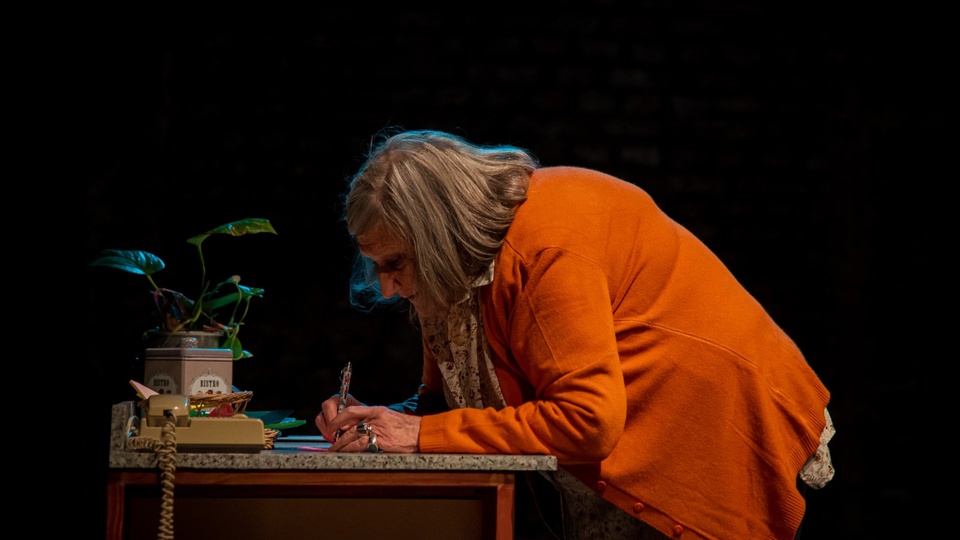 Descuento especial para lectorxs de Soy para ver “Dora, un ingrediente ...