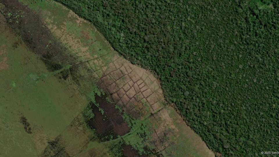 Descubren un sofisticado sistema de riego que permitió la revolución ...