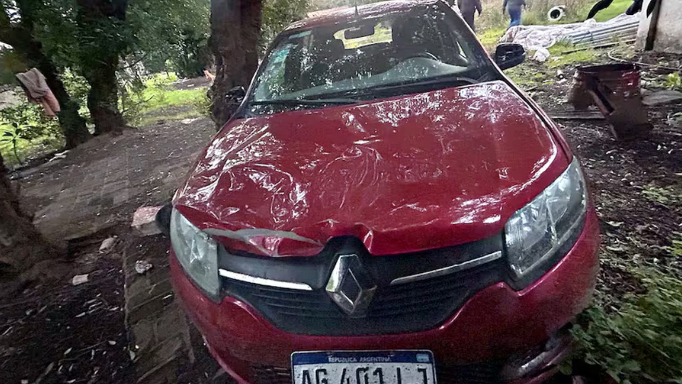 Un detenido, otro fugado | Mar del Plata: chocó un árbol con un auto ...