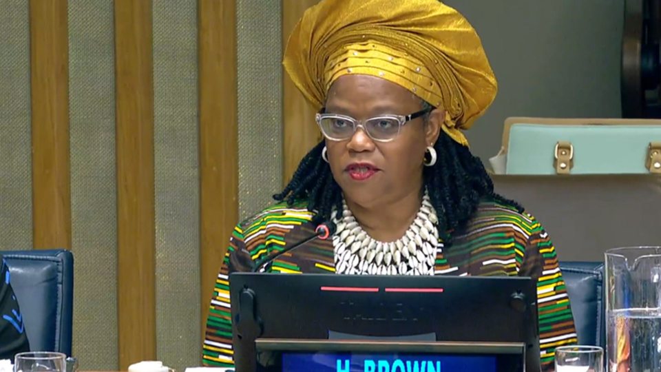 “Ya basta de hablar”: La voz caribeña que sacude el Foro de la ONU ...