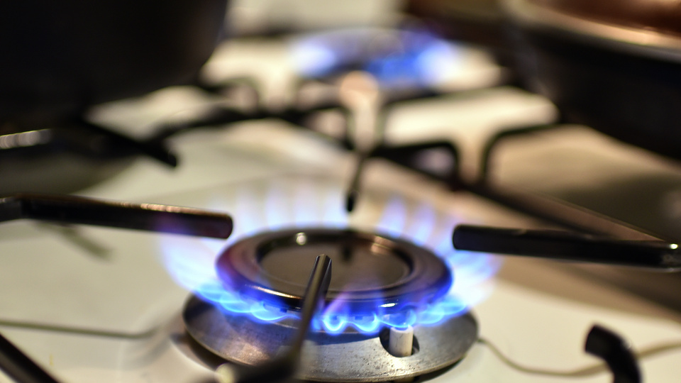 Nl bokep malay it's uncertain at what point encountering