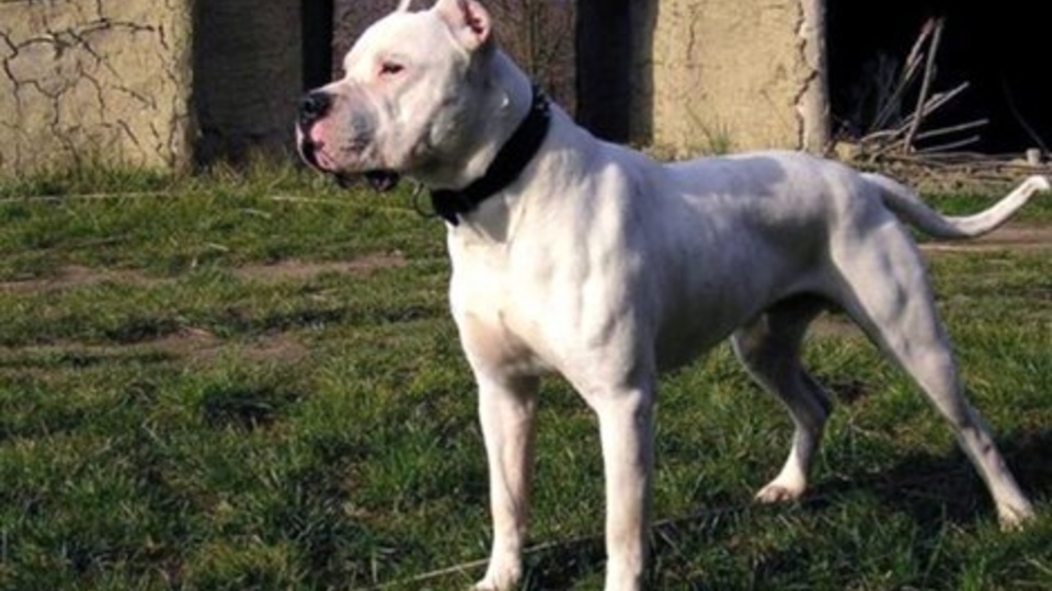 Chicas colombianas culonas saw Baby Sky had made her way