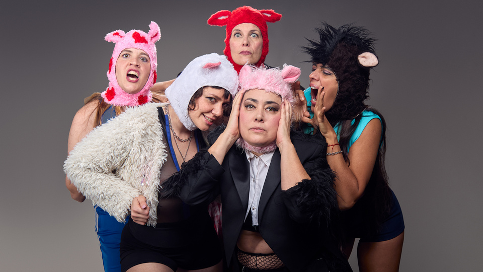 Pequeño Bambi: "En Argentina, ser punk es vivir y ser artista ...
