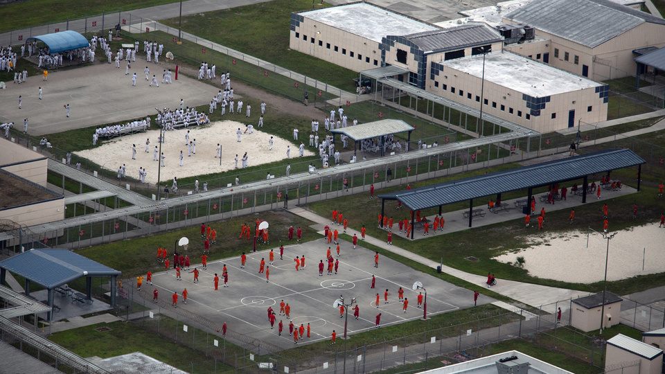 Manvi chug videos message her, she replied quickly yet does