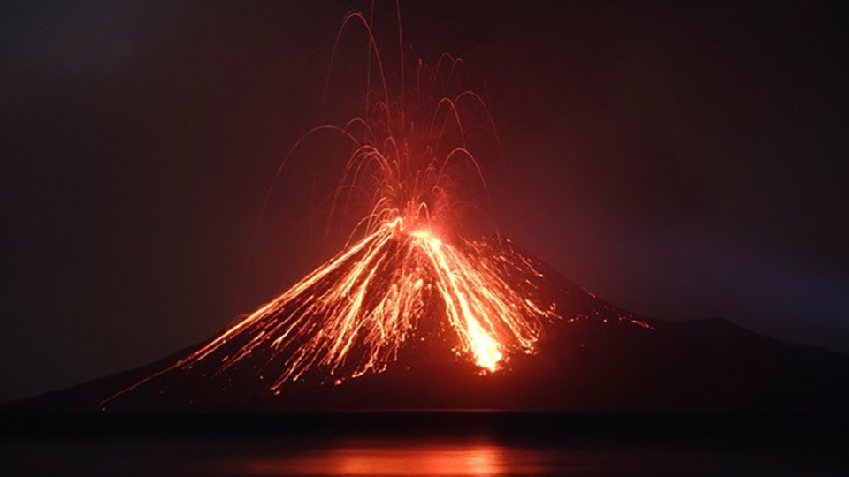 Zoey uso (curvy zoey gets on the bus) i feel glad I visited