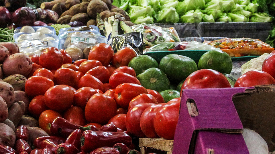 Ww.waptrick xxx all the fun was totally safe and super fun