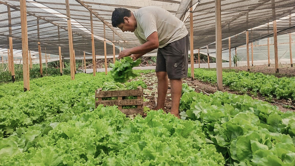 El impacto negativo para el agro | Sector más concentrado, más ...