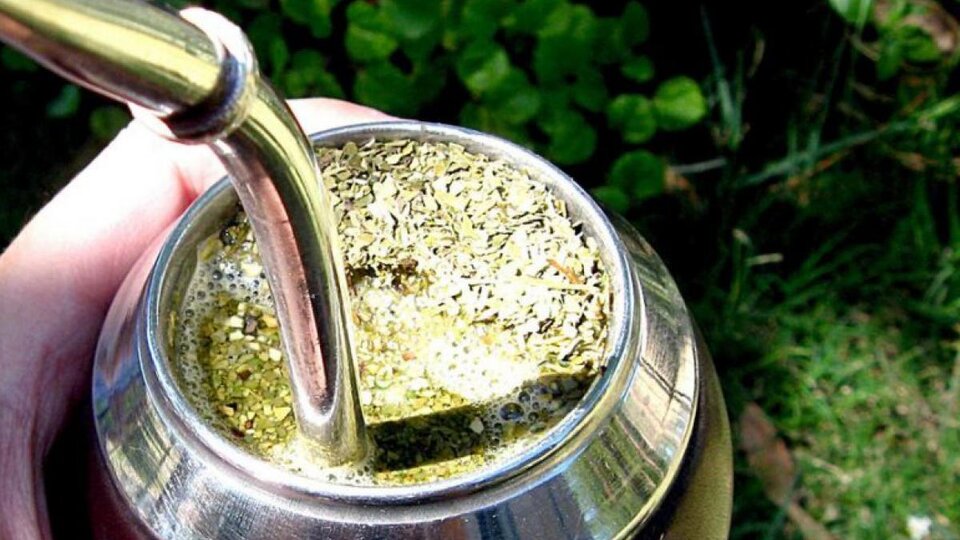 Por qué es el Día del Mate y los 5 trucos para preparar el mejor ...