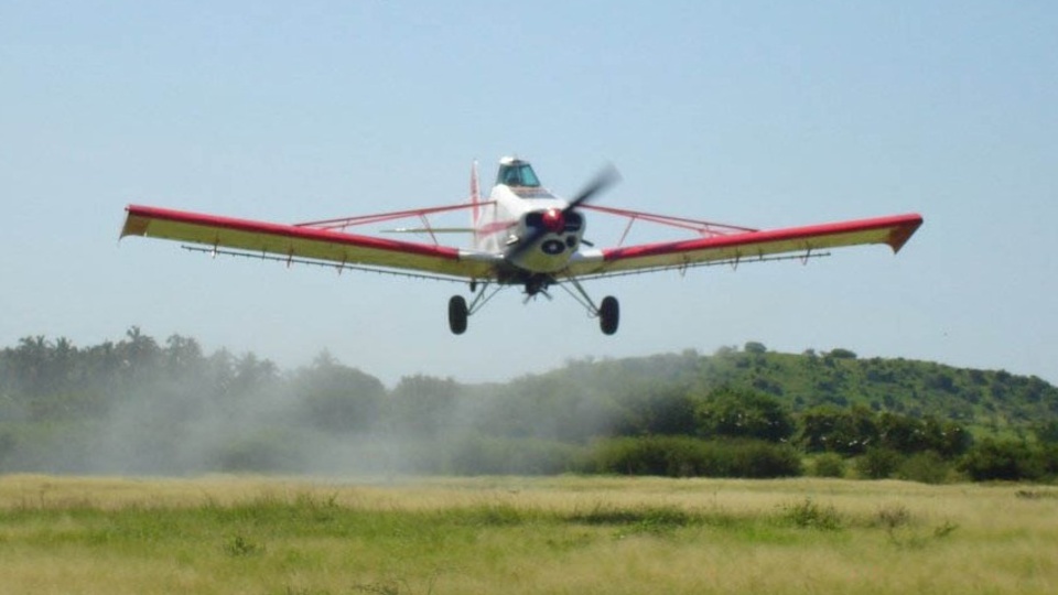 La pandemia de los agrotóxicos | Más de cien ongs denuncian ...