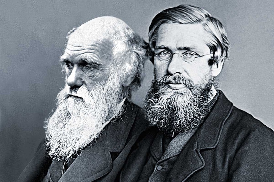 Diagrama De Venn De Charles Darwin Y Alfred Wallace Comparat