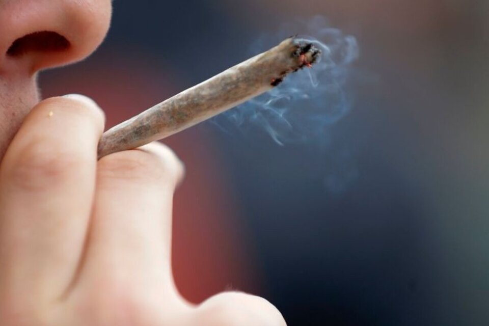 Un porro en Palermo | El clasismo de Vidal | Página12