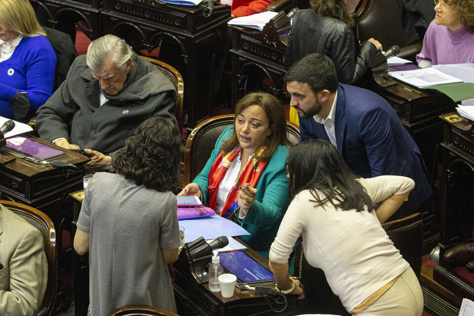 Diputados Aprobó Por Unanimidad El Alivio Fiscal Para Monotributistas Y
