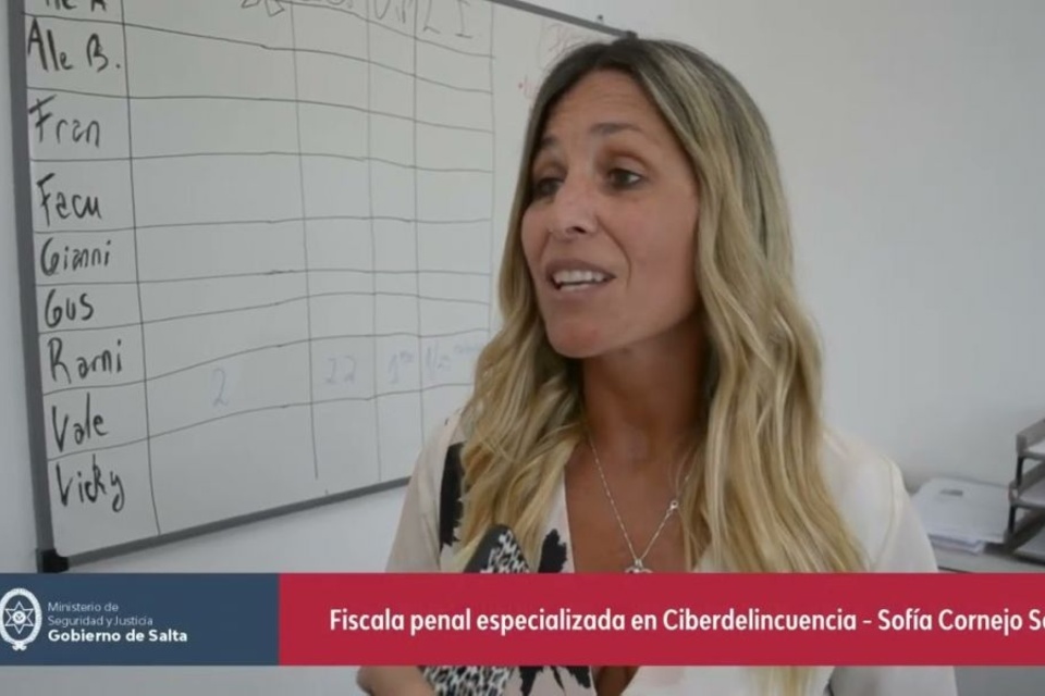 La fiscala de ciberdelincuencia dijo que es necesario legislar sobre violencia digital de género ...